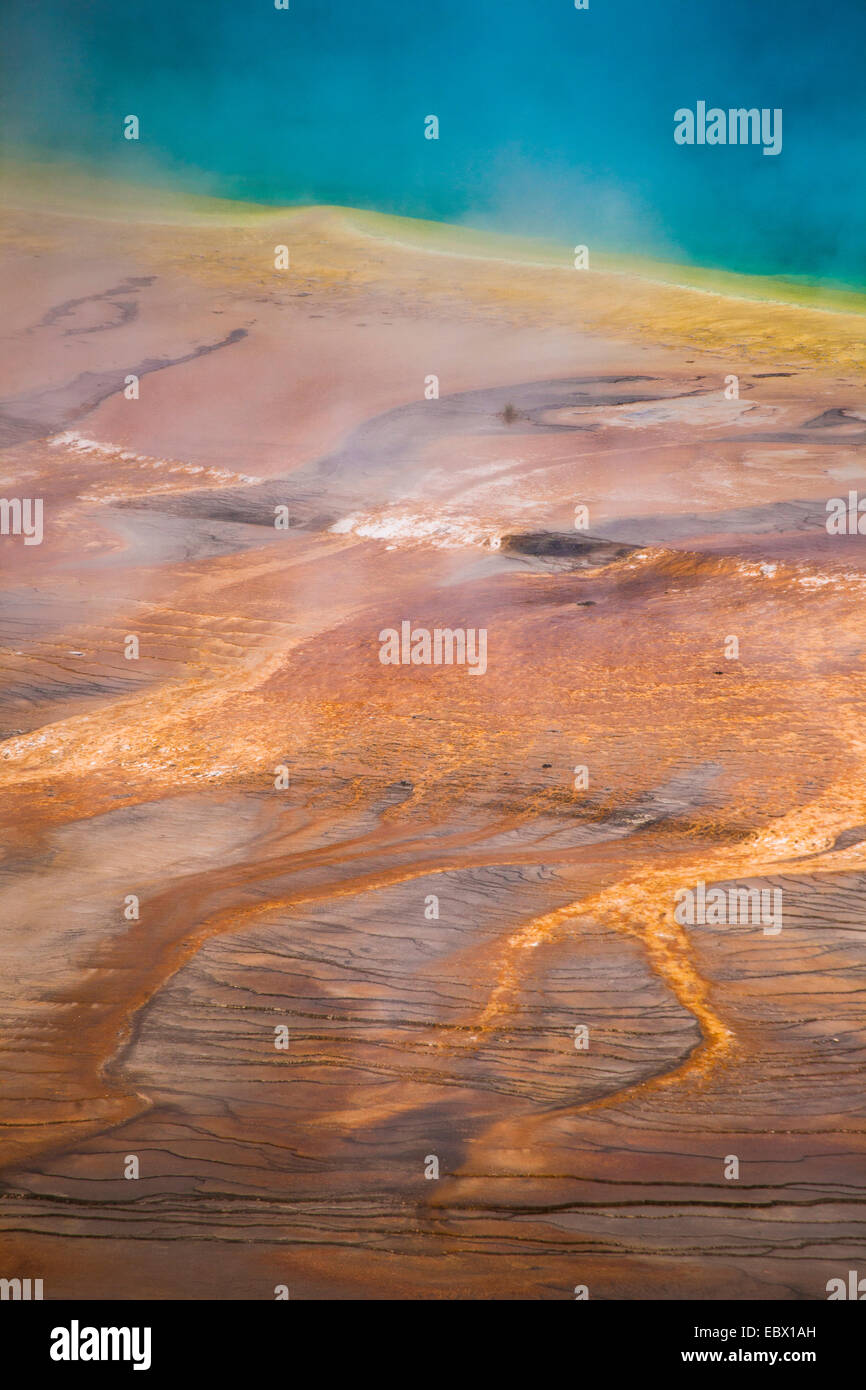 Steam erupts from Grand Prismatic Spring, Yellowstone National Park ...