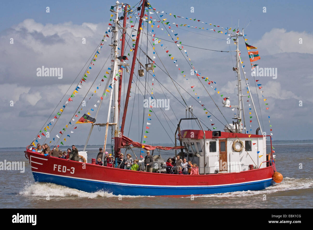 crab cutter decorated with colourful pennants, cutter regatta, Germany ...