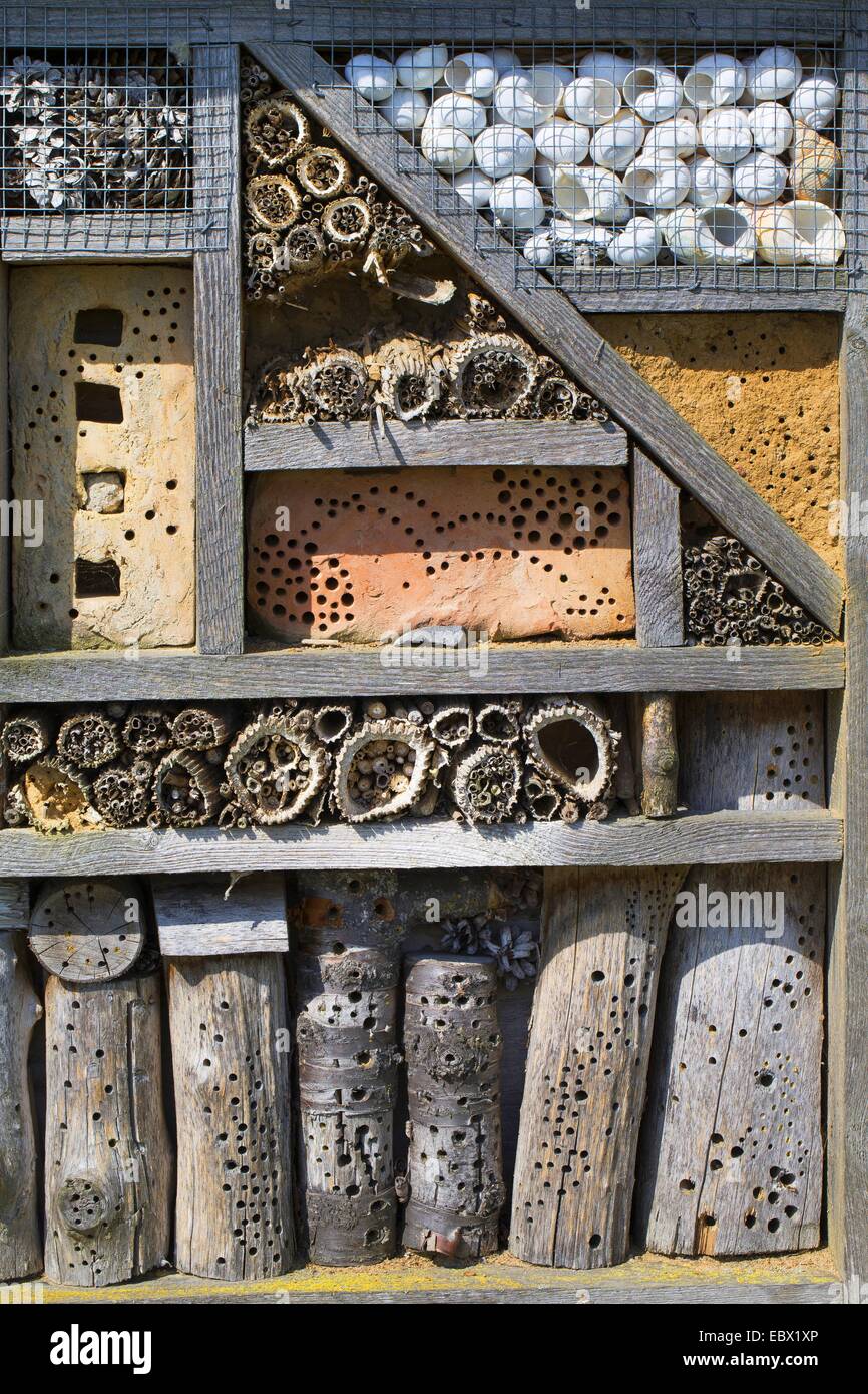 insect hotel made from reed stems, pieces of wood with bore holes ...