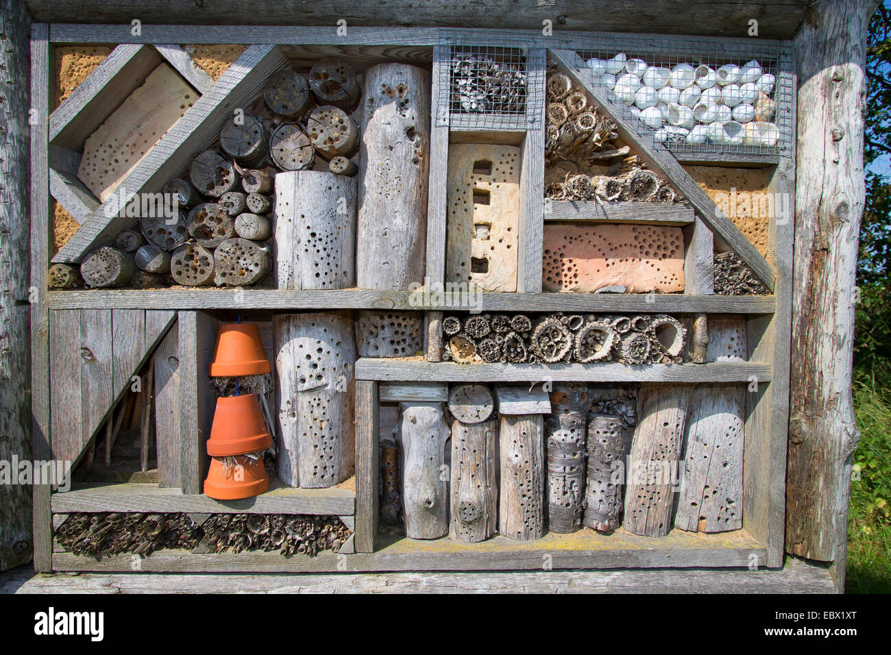 insect hotel made from reed stems, pieces of wood with bore holes ...