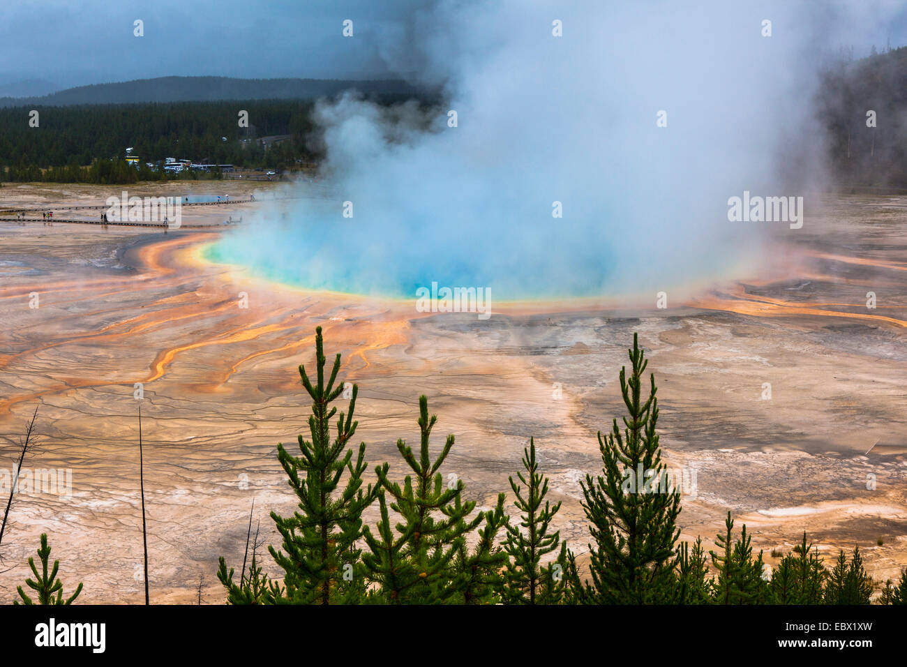Steam erupts from Grand Prismatic Spring, Yellowstone National Park ...