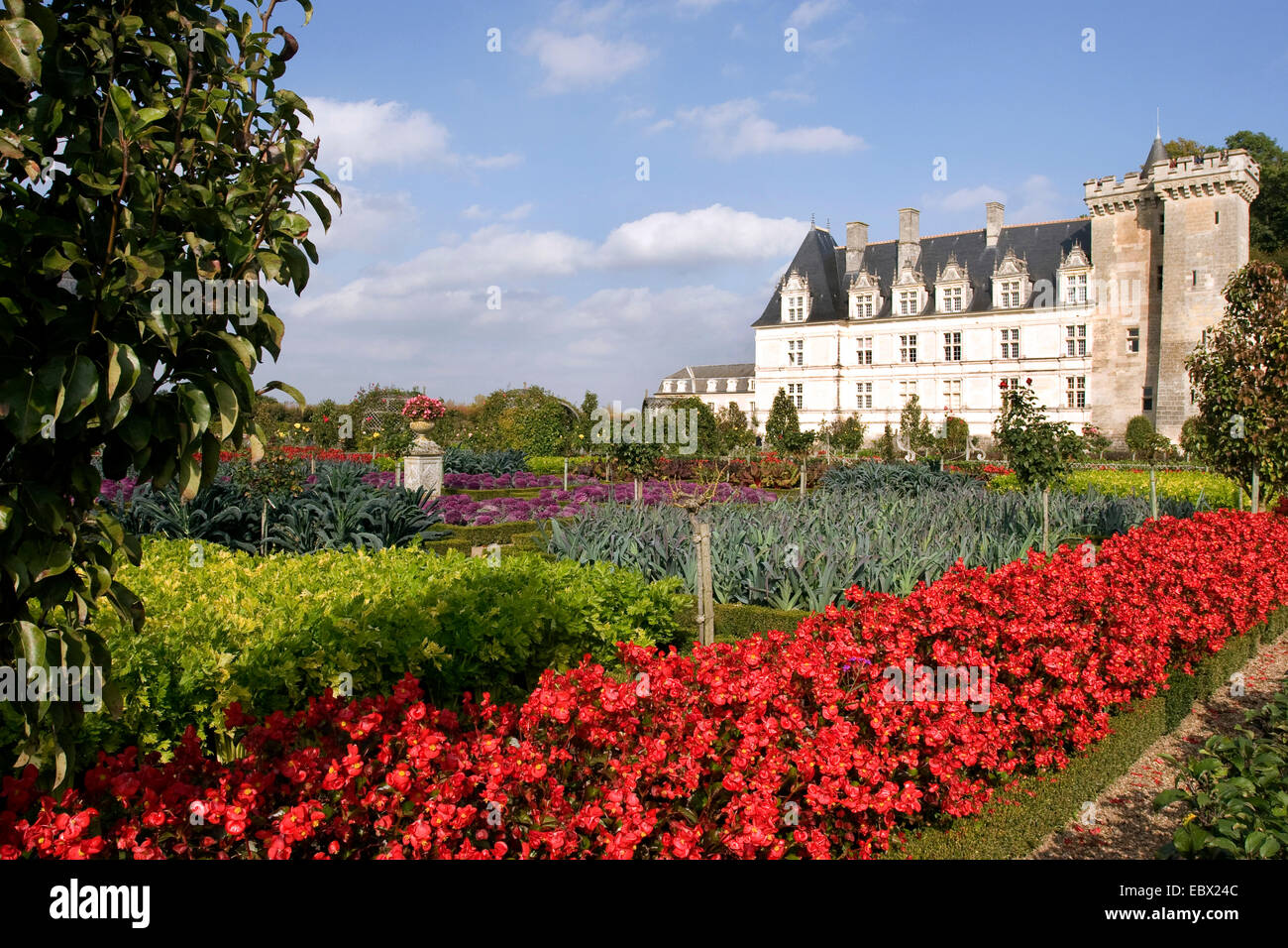 Chateau de Villandry, France Stock Photo - Alamy