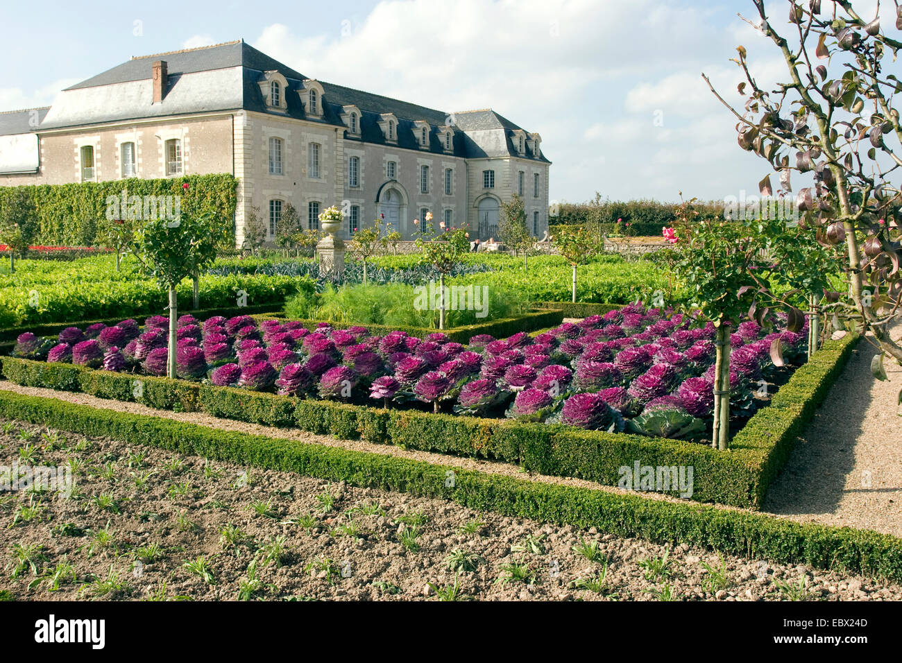 Chateau de villandry france hi-res stock photography and images - Alamy