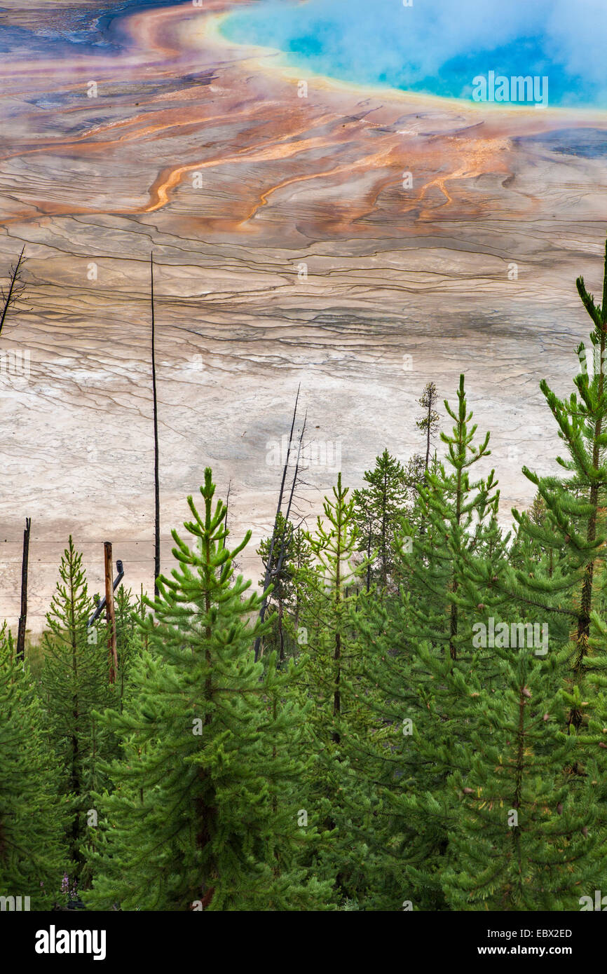 Steam erupts from Grand Prismatic Spring, Yellowstone National Park ...