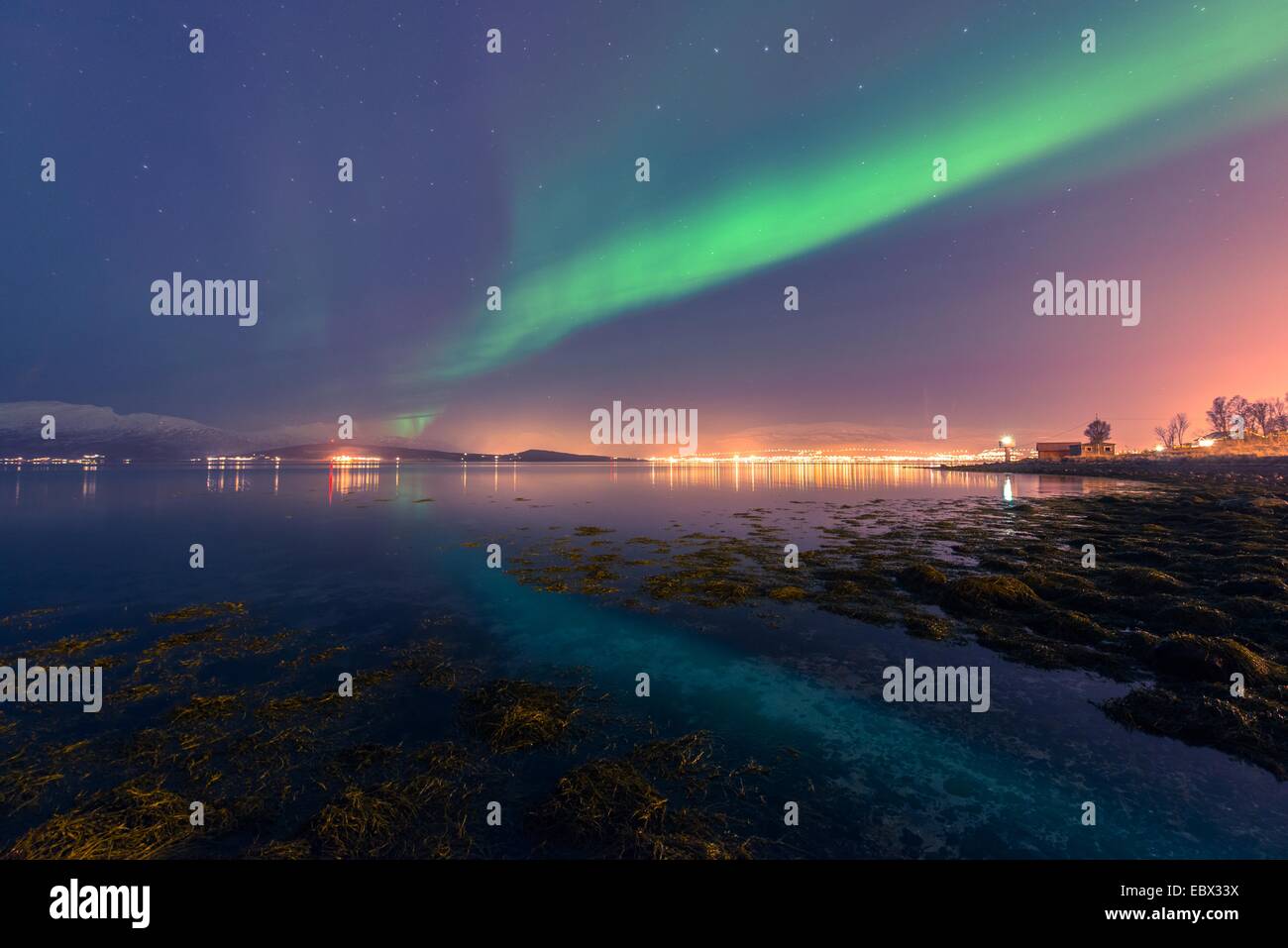 Aurora rosa hi-res stock photography and images - Alamy
