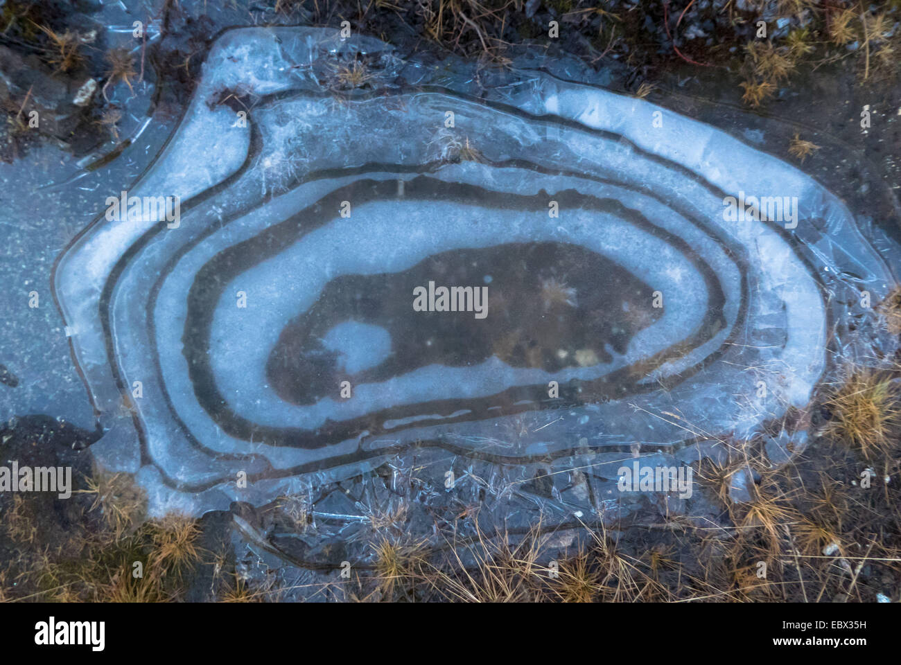 Ice On Puddle Stock Photo - Alamy