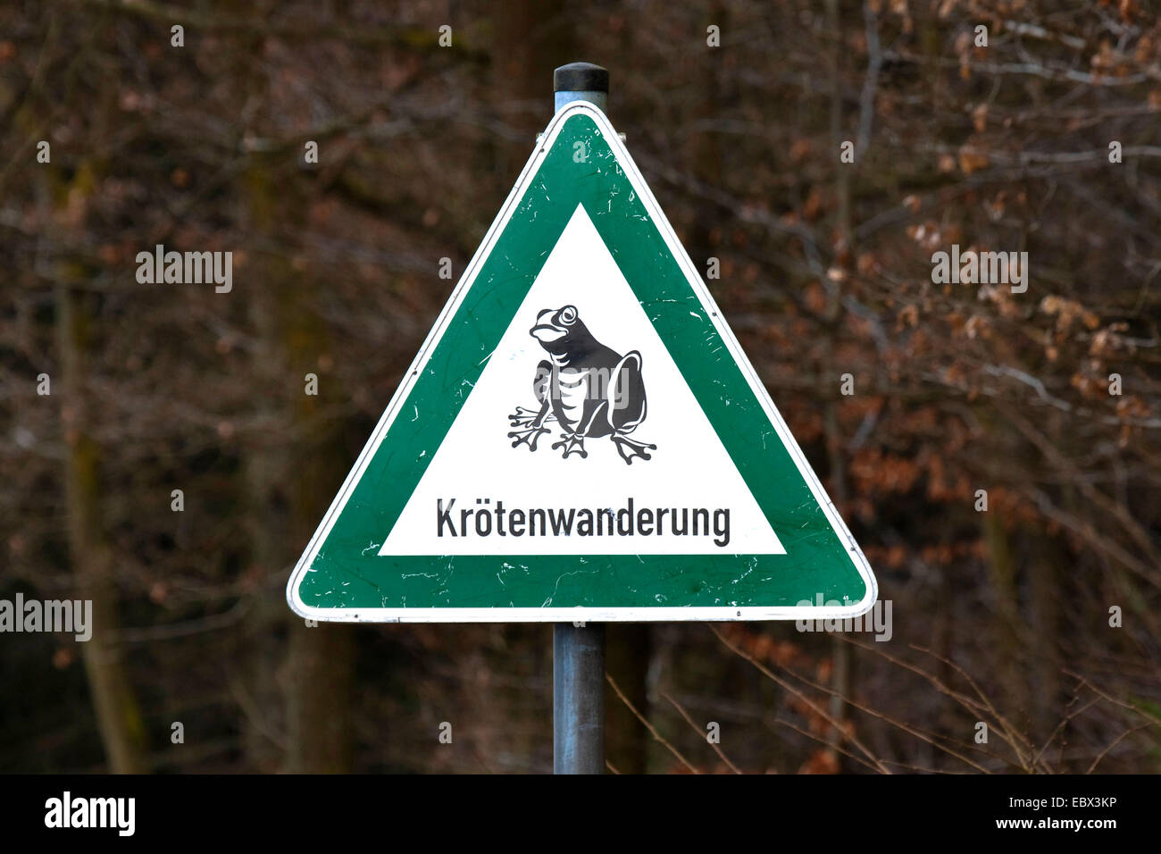 road sign toad migration, Germany, North Rhine-Westphalia Stock Photo ...