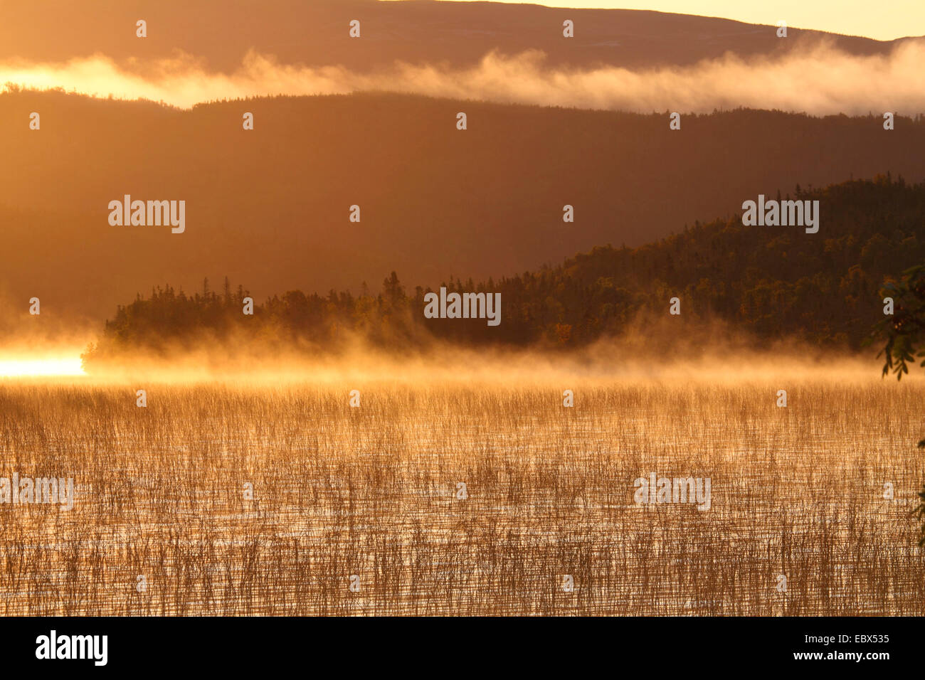 Misty morning canadian river hi-res stock photography and images - Alamy