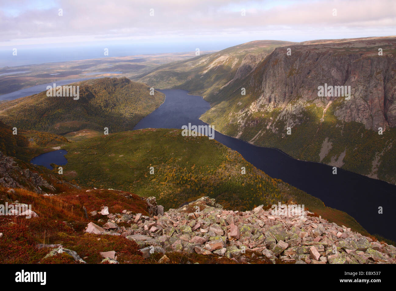 vie from Gros Morne summit, Canada, Newfoundland, Gros Morne National ...