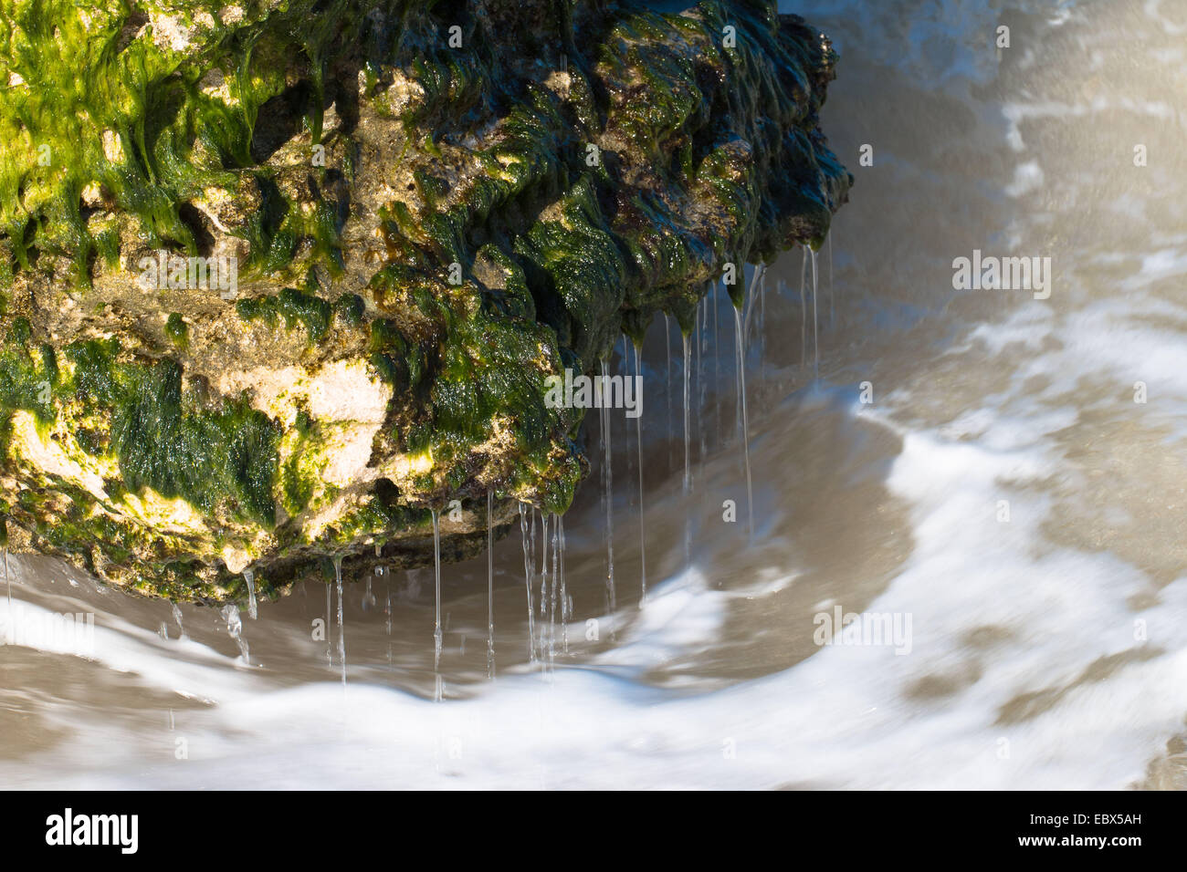 Wave On Algae Rock Stock Photo - Alamy