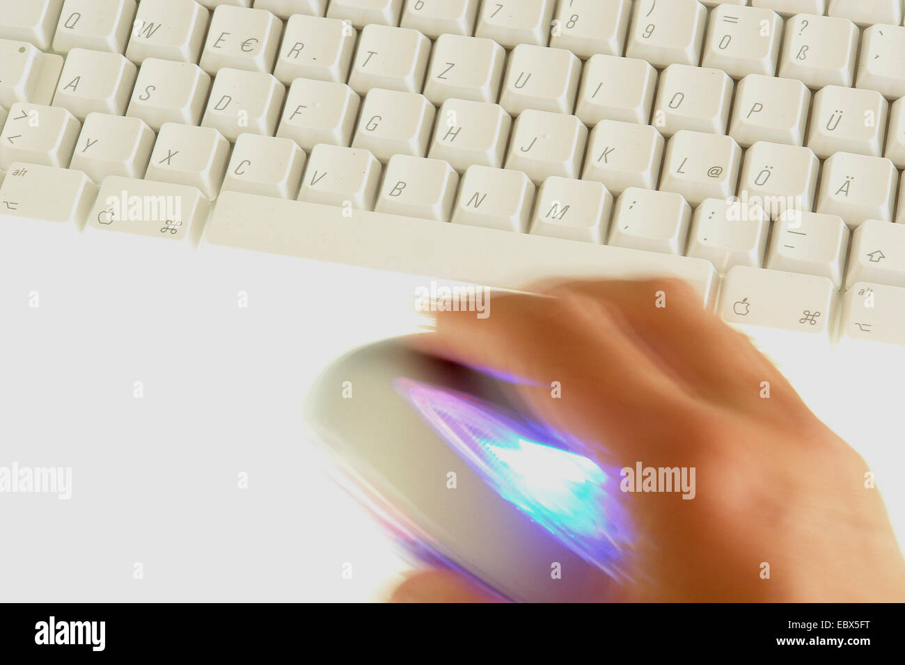 Single mouse hi-res stock photography and images - Alamy