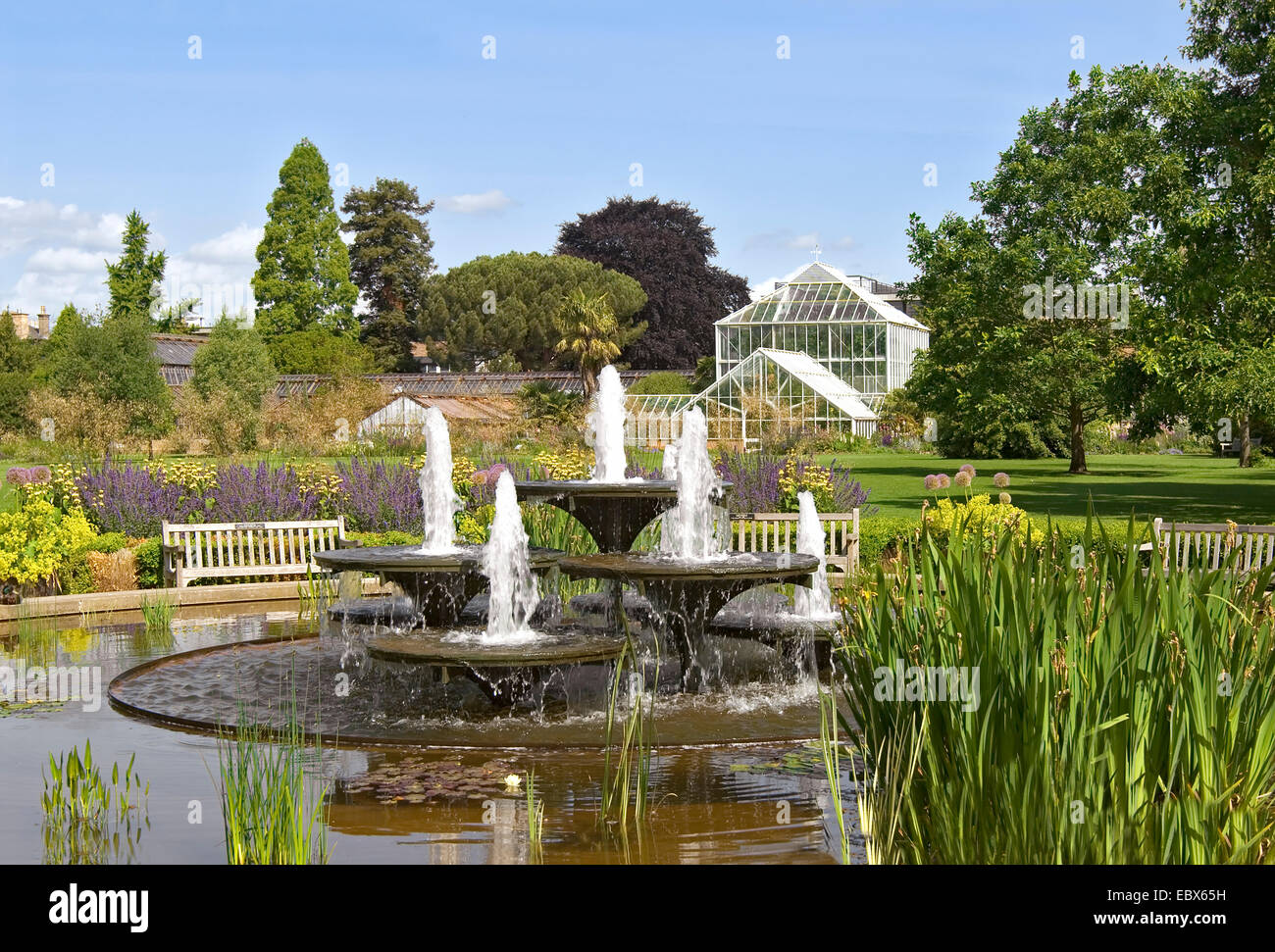 Cambridge university botanical gardens hi-res stock photography and ...