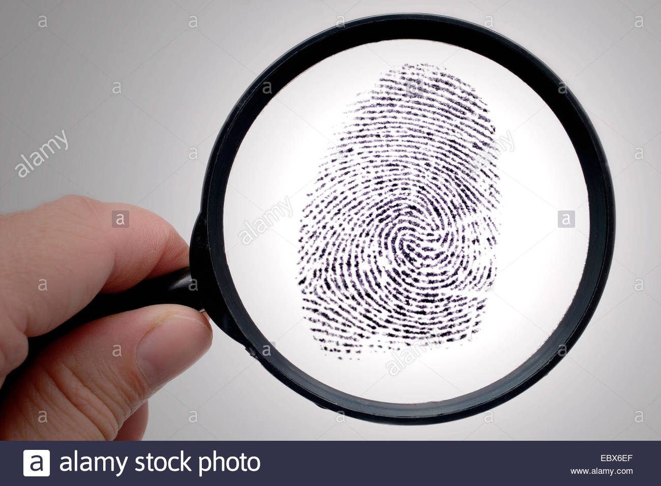 Fingerprint Fingerprints Individuality Stock Photos & Fingerprint ...