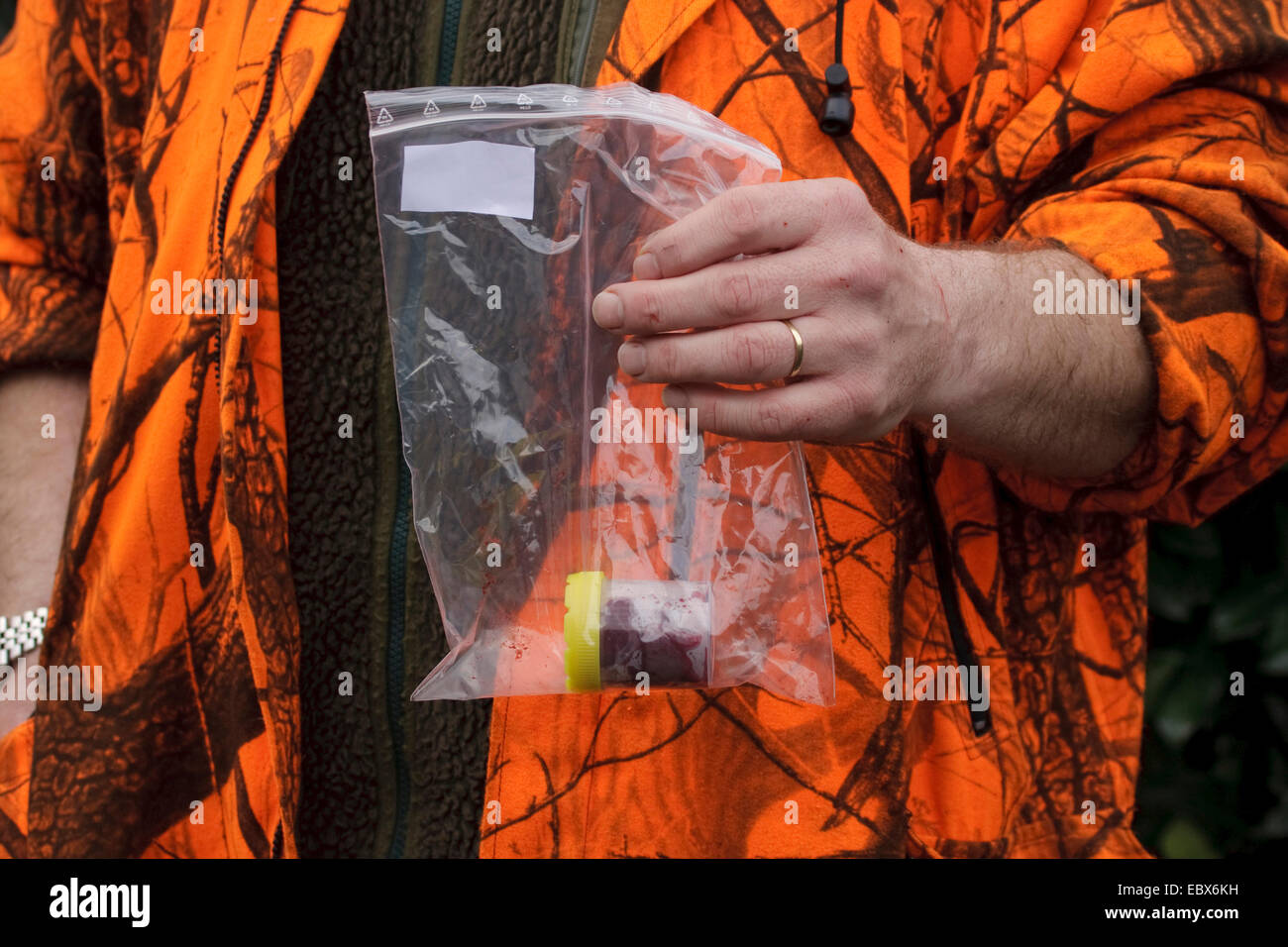 Pigs blood hi-res stock photography and images - Alamy