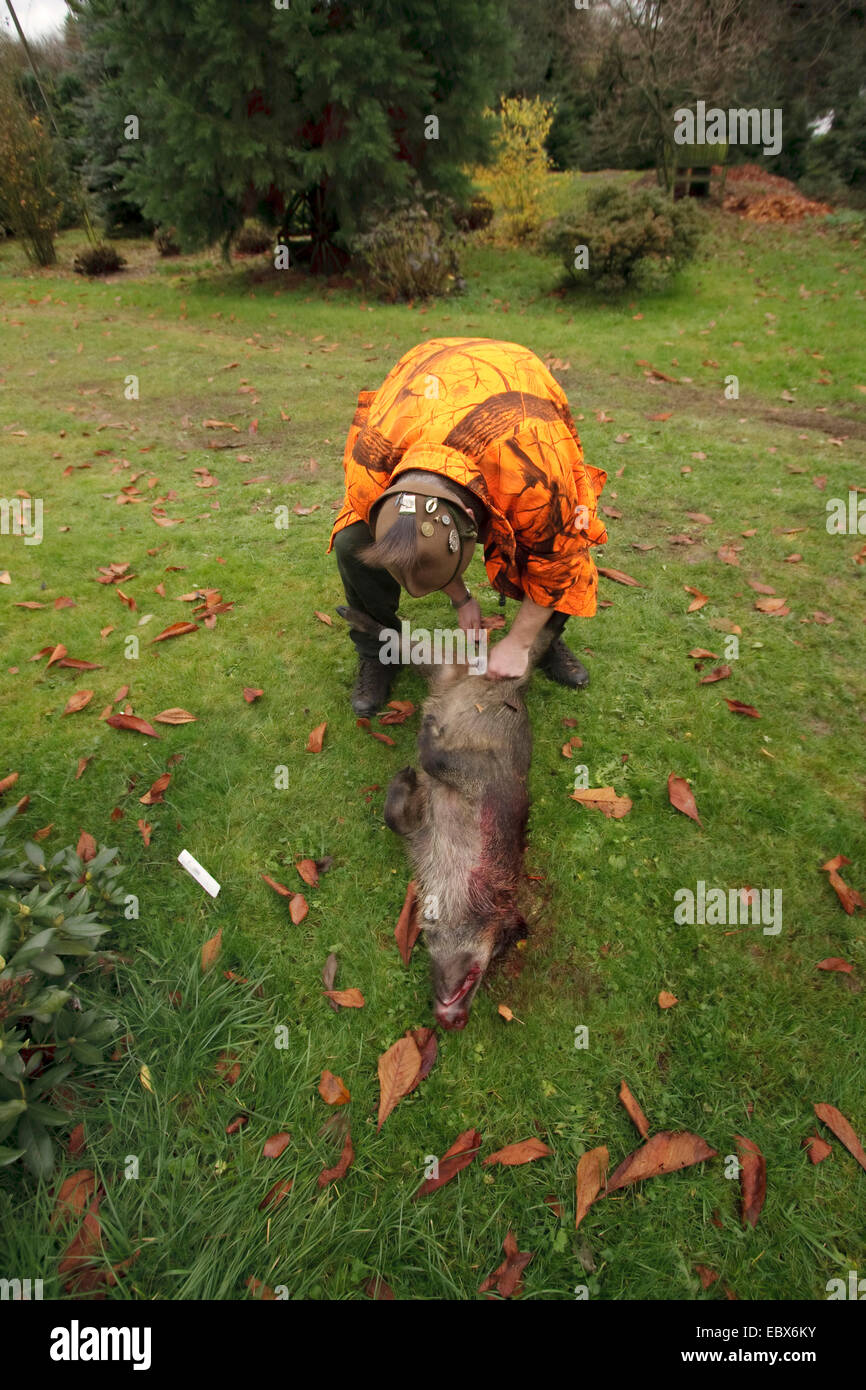 Disembowel man hi-res stock photography and images - Alamy