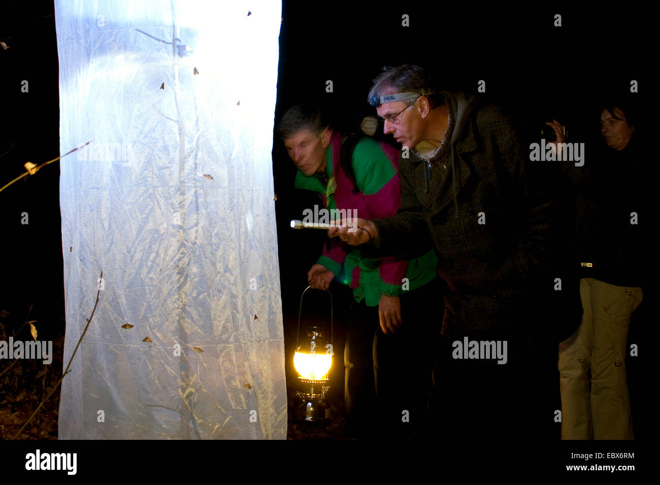 Moths light trap High Resolution Stock Photography and Images - Alamy