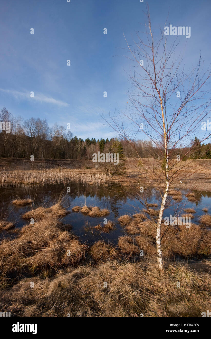 Wetland on the rhine hi-res stock photography and images - Alamy