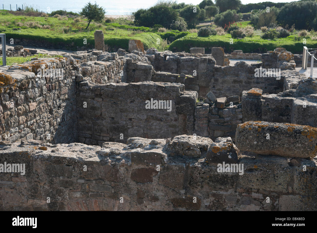 Roman ruins of Baelo Claudia, Bolonia, Andalucia, Spain Stock Photo - Alamy