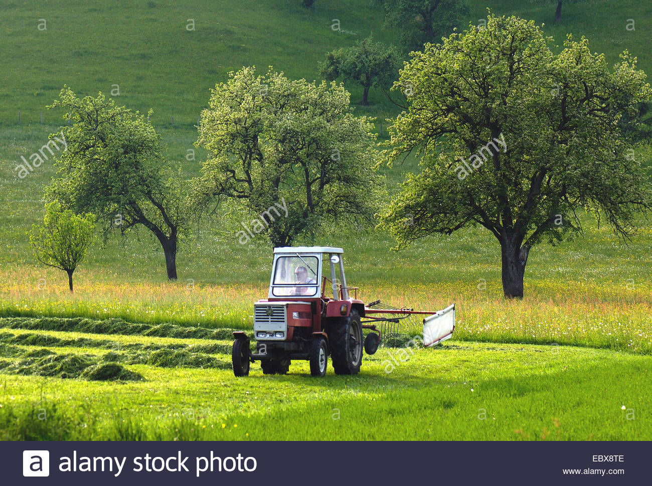 Farmer Turning Hay Tractor Hay High Resolution Stock Photography and ...