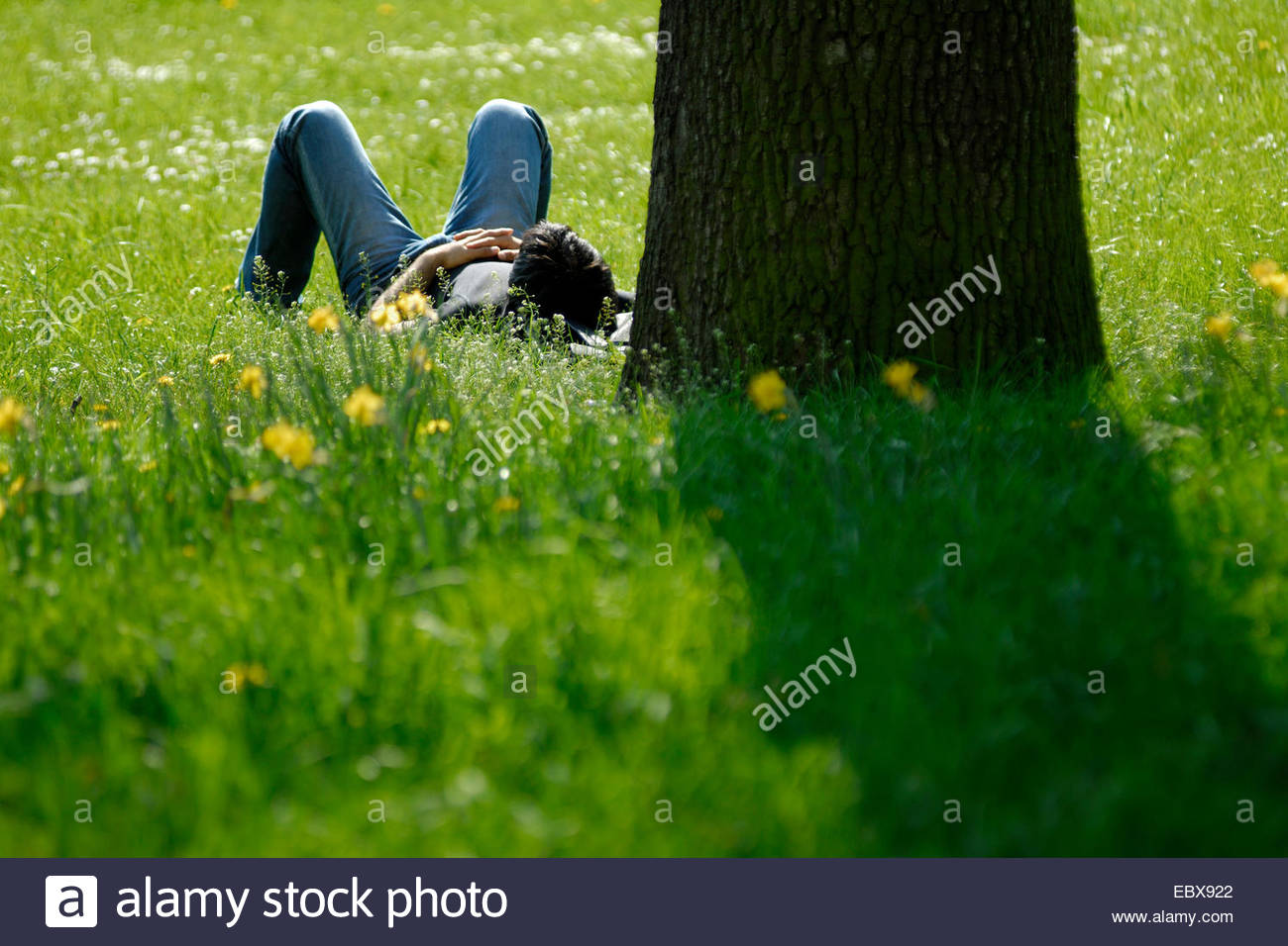 Man Sleeping Under Tree Stock Photos & Man Sleeping Under Tree Stock ...