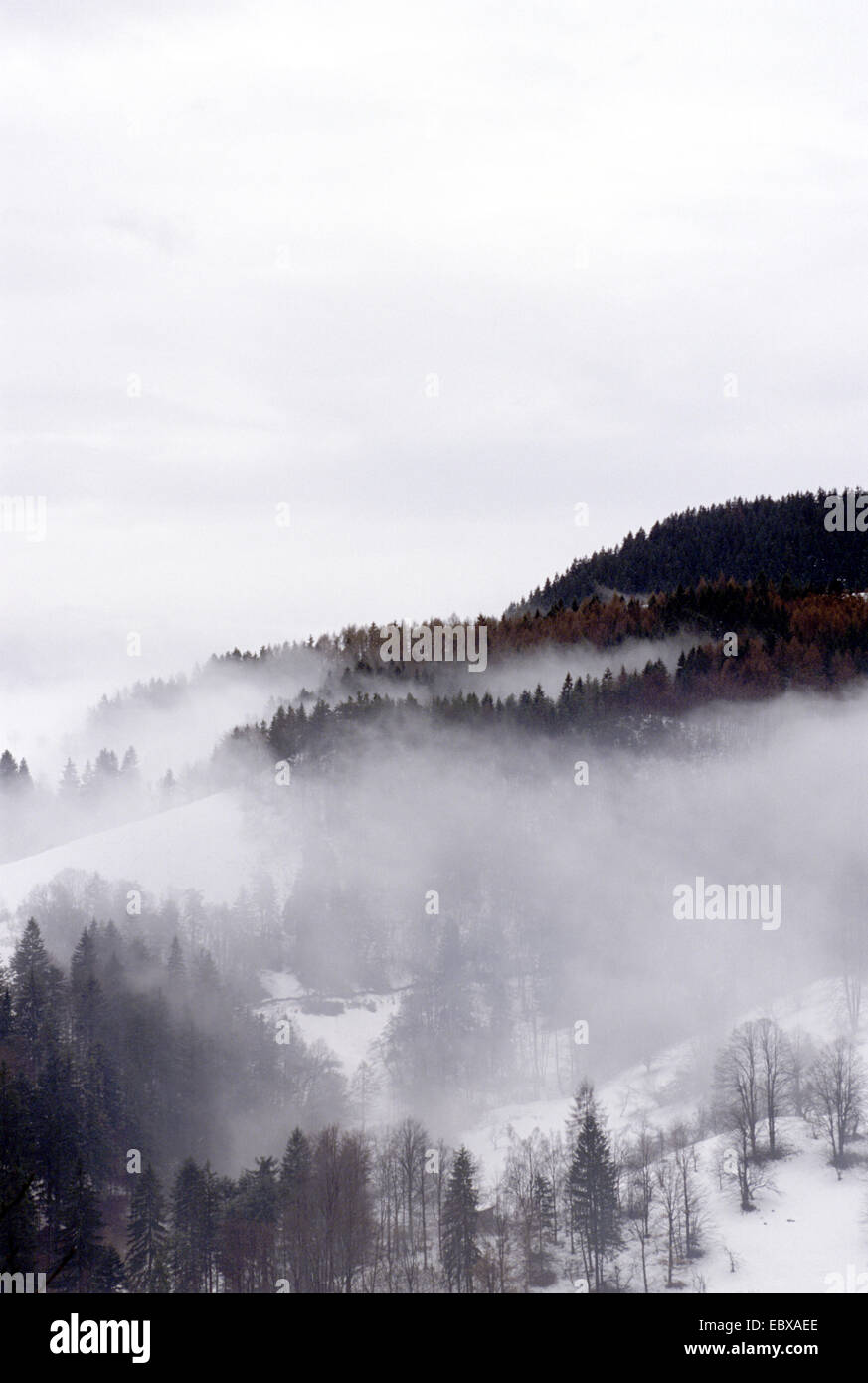 morning mist over a winter landscape Stock Photo - Alamy