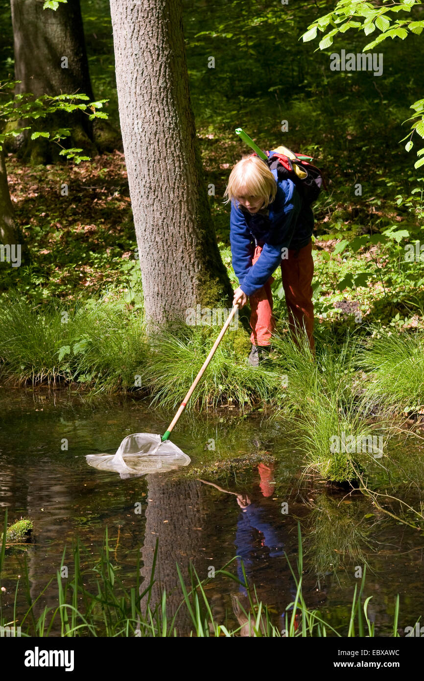 child with a dip net at a forest pond Stock Photo - Alamy