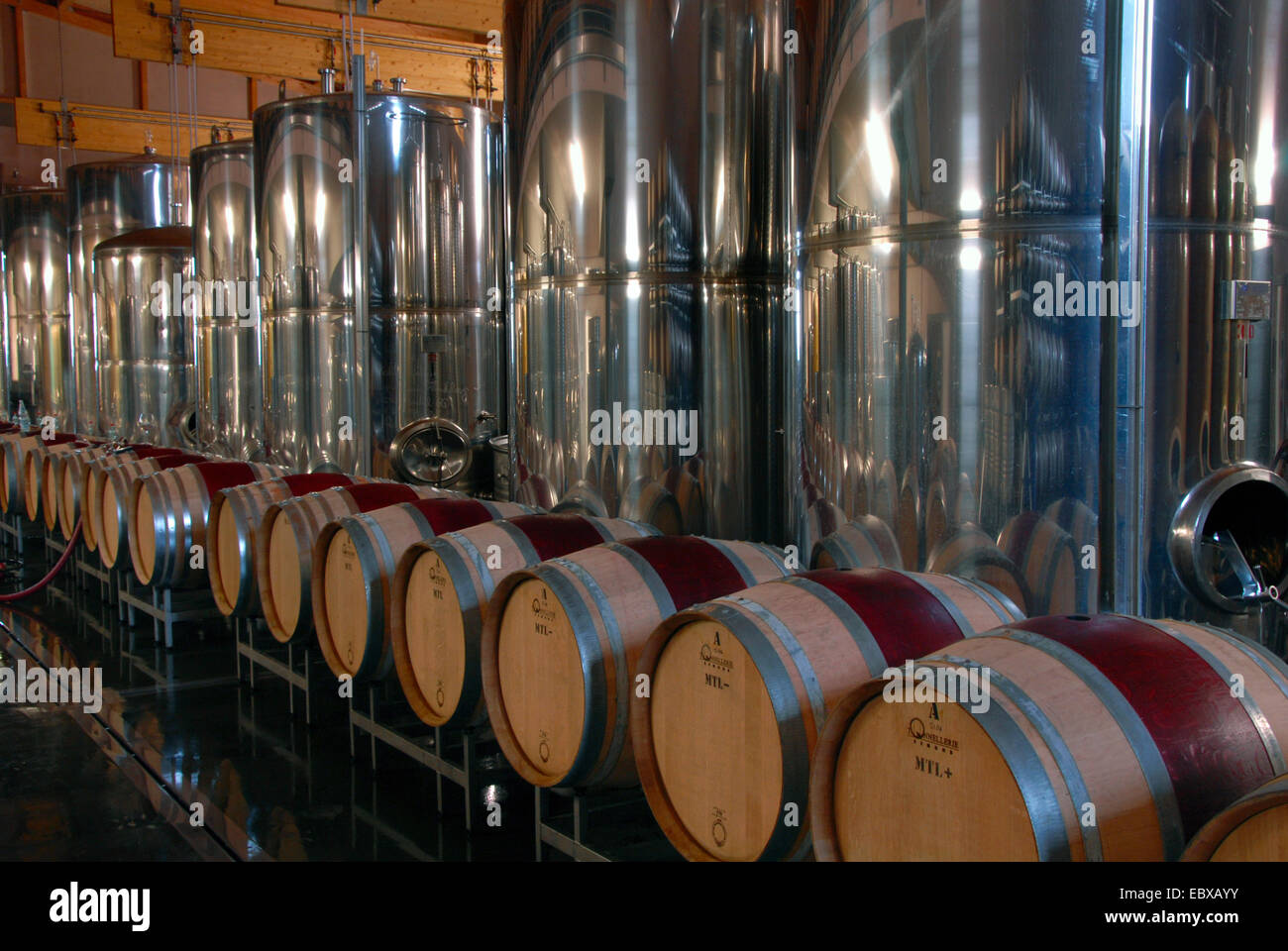 cellar of a winery, oak barrels, Germany, Rhineland-Palatinate ...