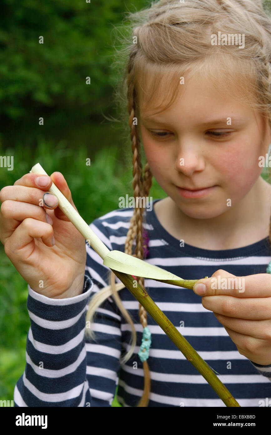 Pulling the bark from a willow twig hi-res stock photography and images ...