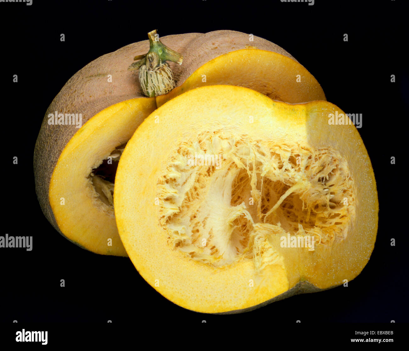 marrow, field pumpkin (Cucurbita pepo), sliced pumpkin Stock Photo - Alamy