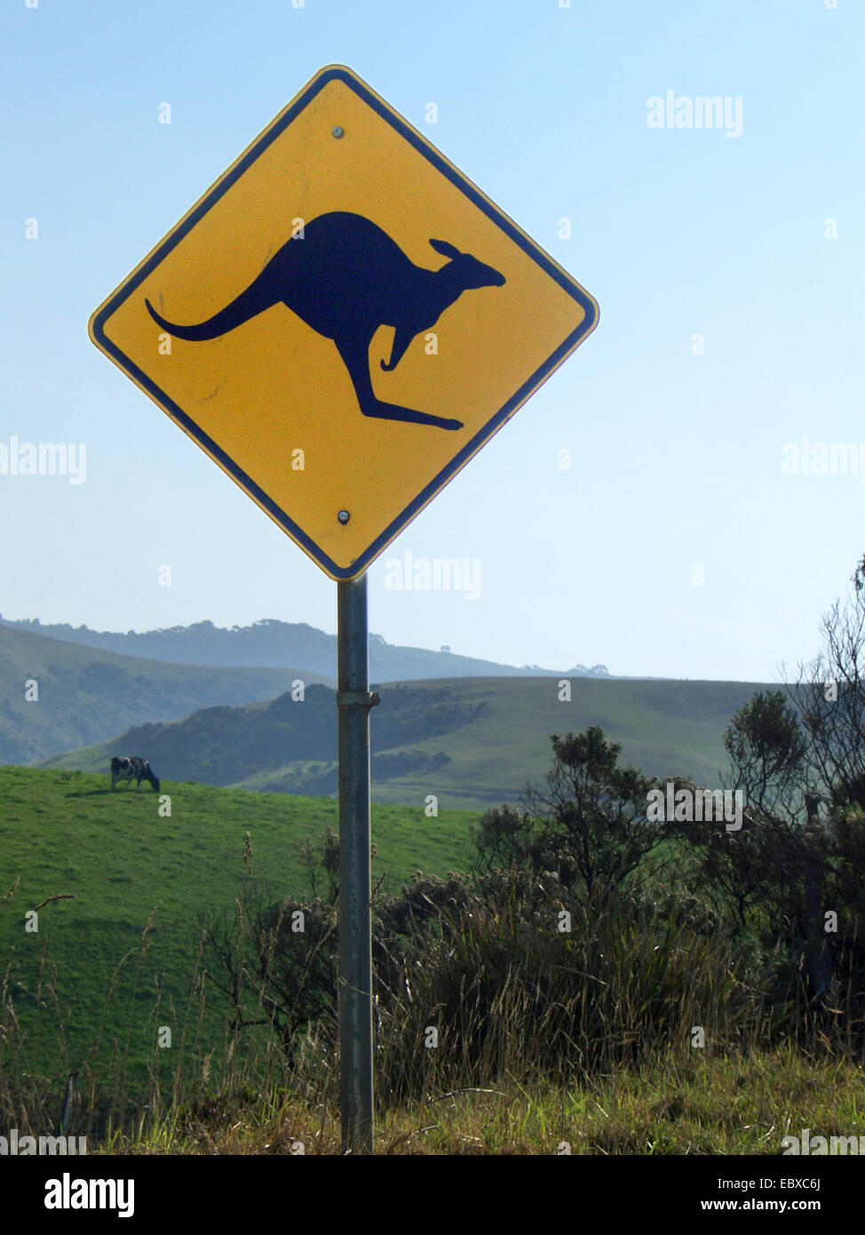 kangaroo traffic sign, Australia Stock Photo - Alamy