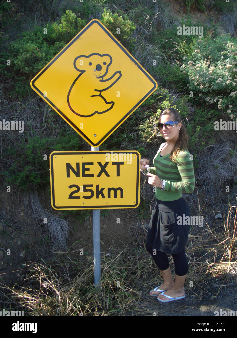 Koalas warning sign hi-res stock photography and images - Alamy