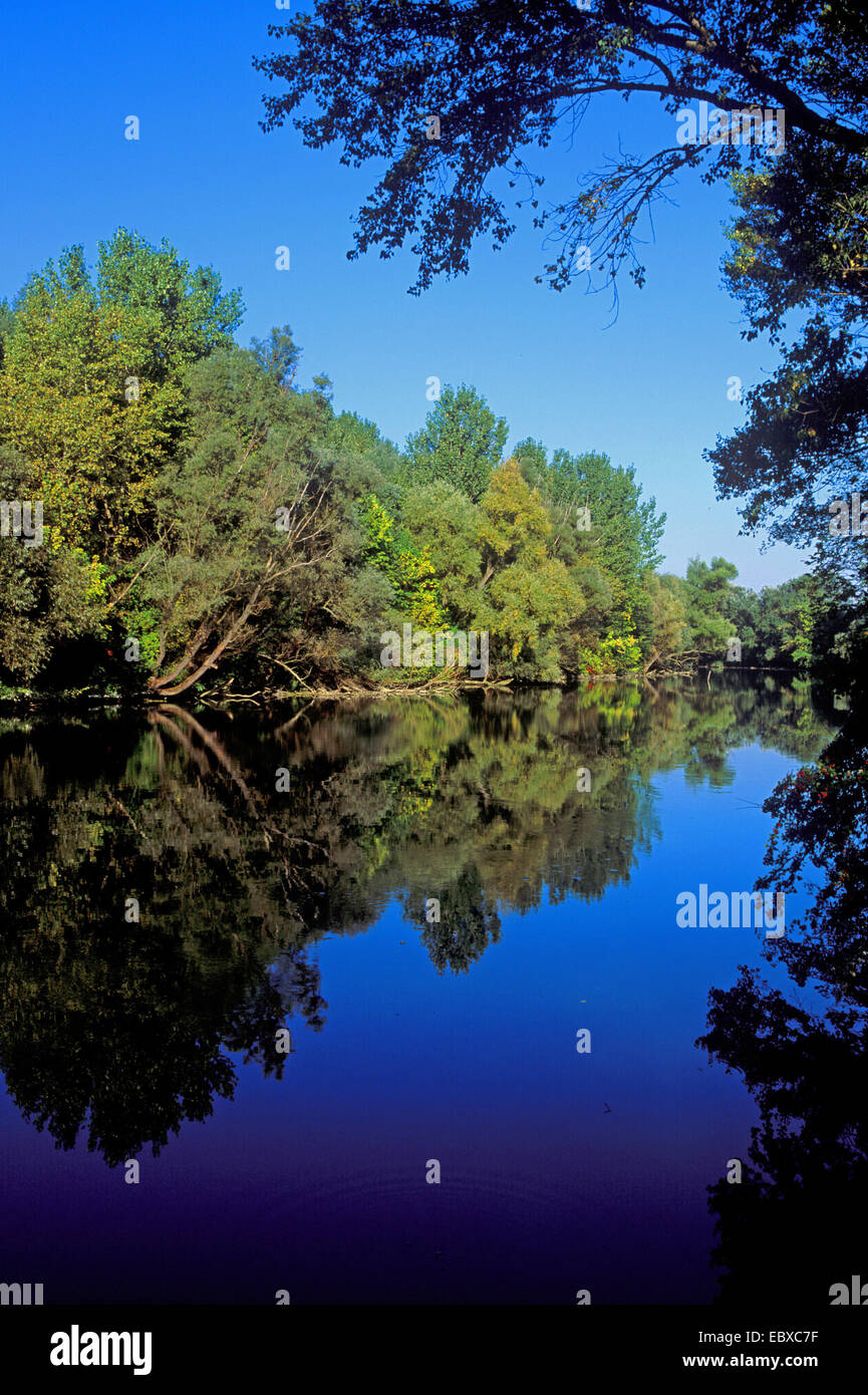Affluent of the danube hi-res stock photography and images - Alamy
