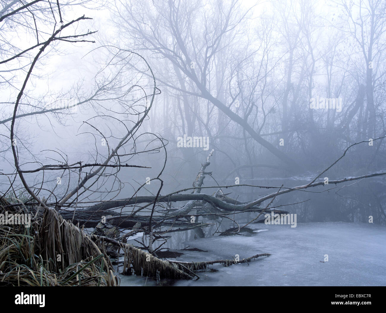 Frozen water in river hi-res stock photography and images - Alamy