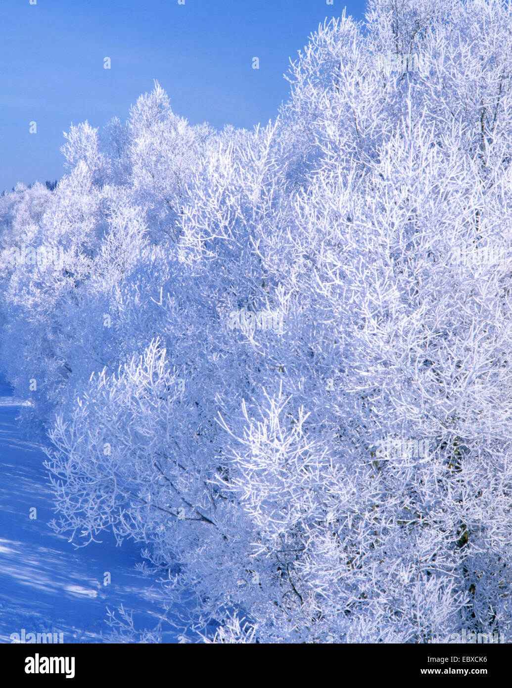 Landscape snow covered icy hi-res stock photography and images - Alamy