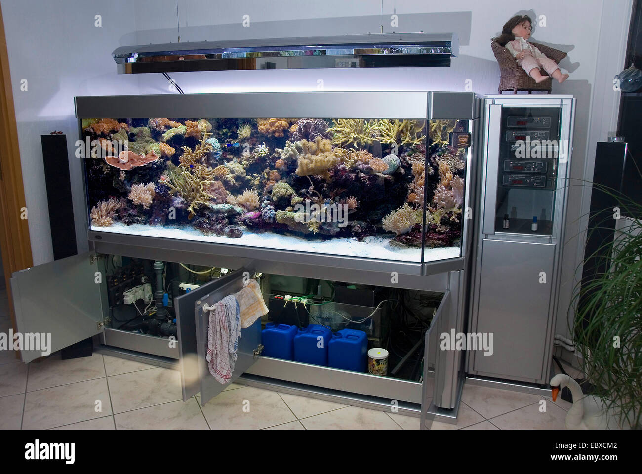 Akvarium High Resolution Stock Photography and Images - Alamy