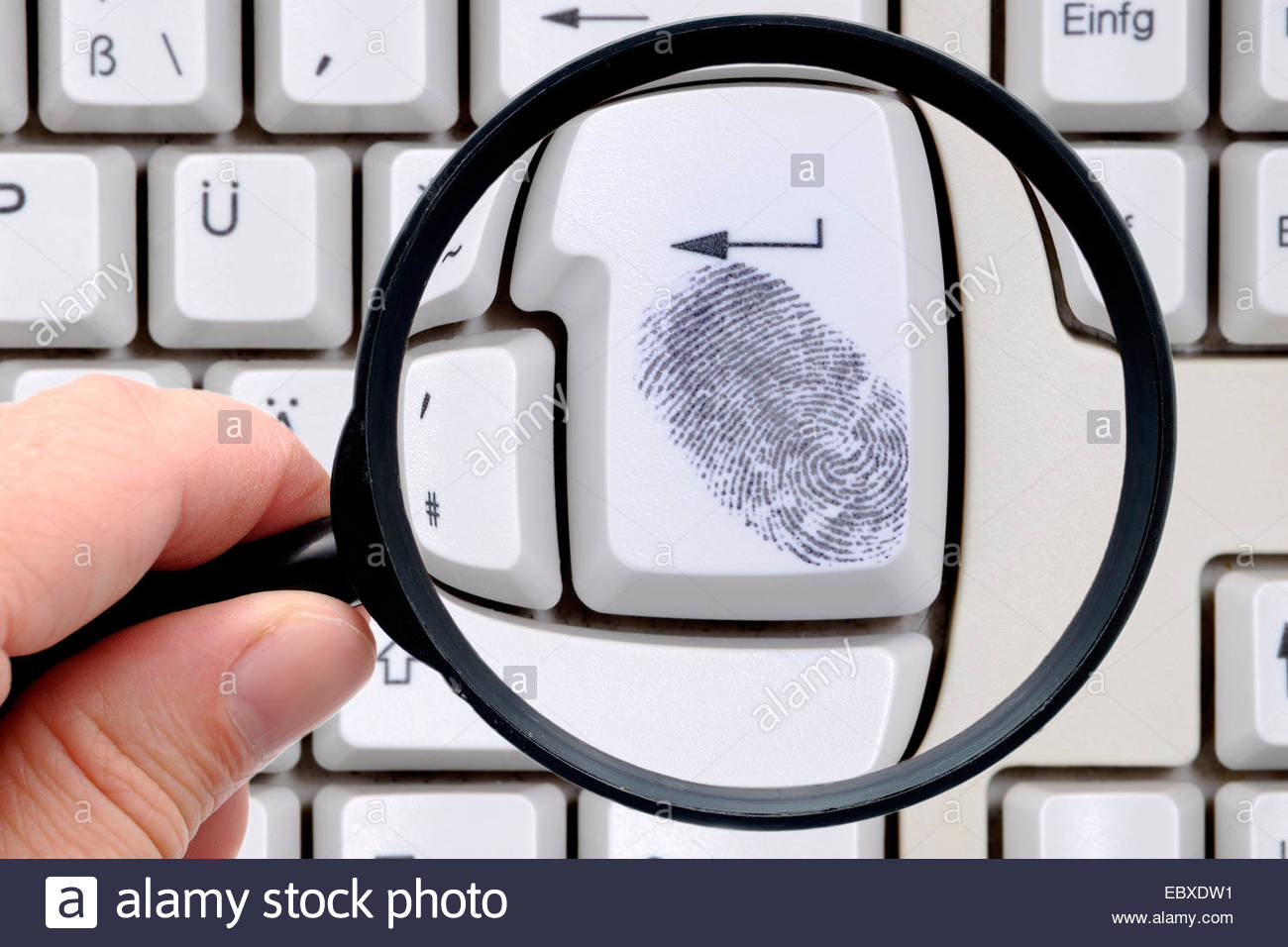 Fingerprint Fingerprints Individuality Stock Photos & Fingerprint ...