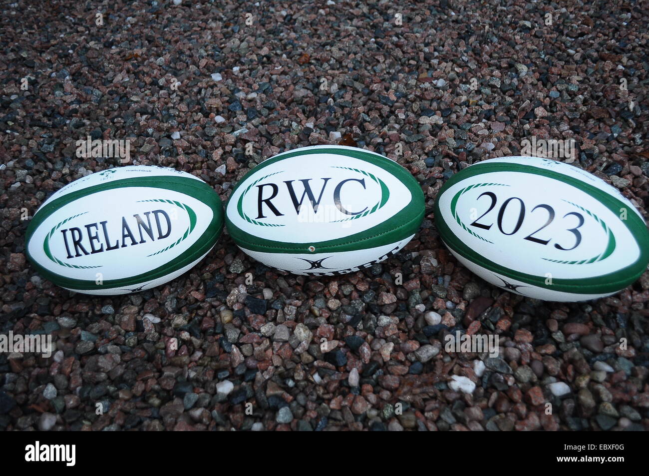 Irish Rugby Football Union (IRFU) launch bid to host Rugby World Cup ...
