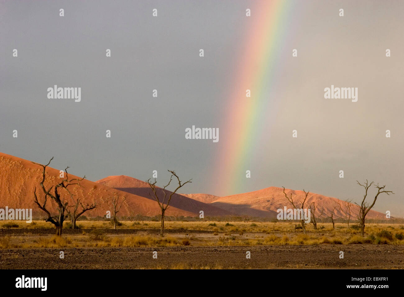 Rainbow over sossusvlei hi-res stock photography and images - Alamy