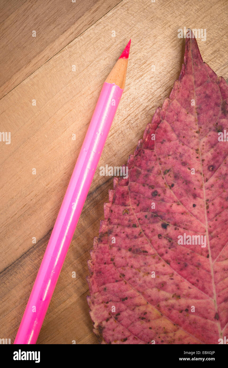 Leaf crayon pink pastel hi-res stock photography and images - Alamy