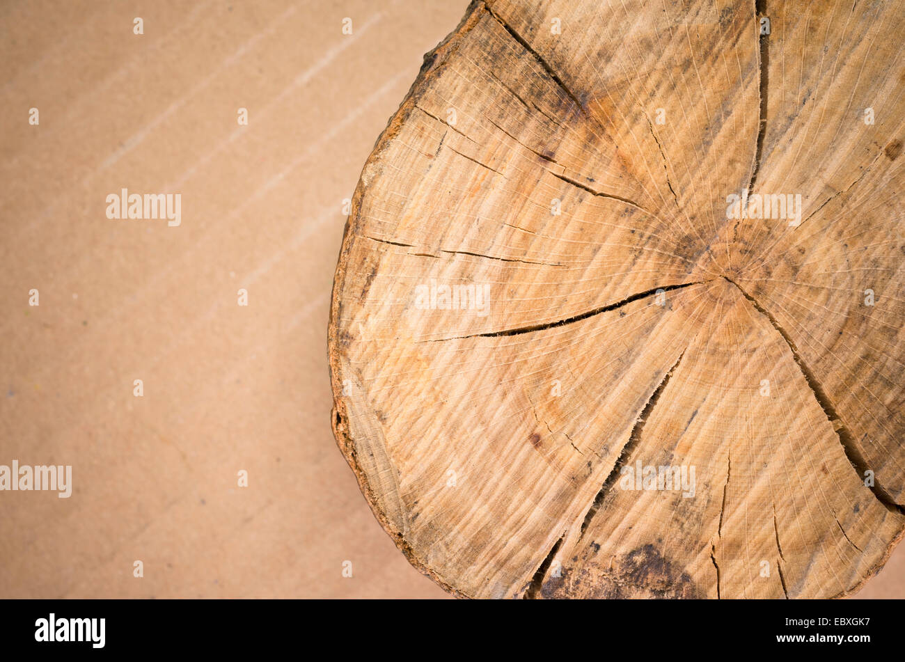 chopped wood close up on a paperboard surface Stock Photo - Alamy