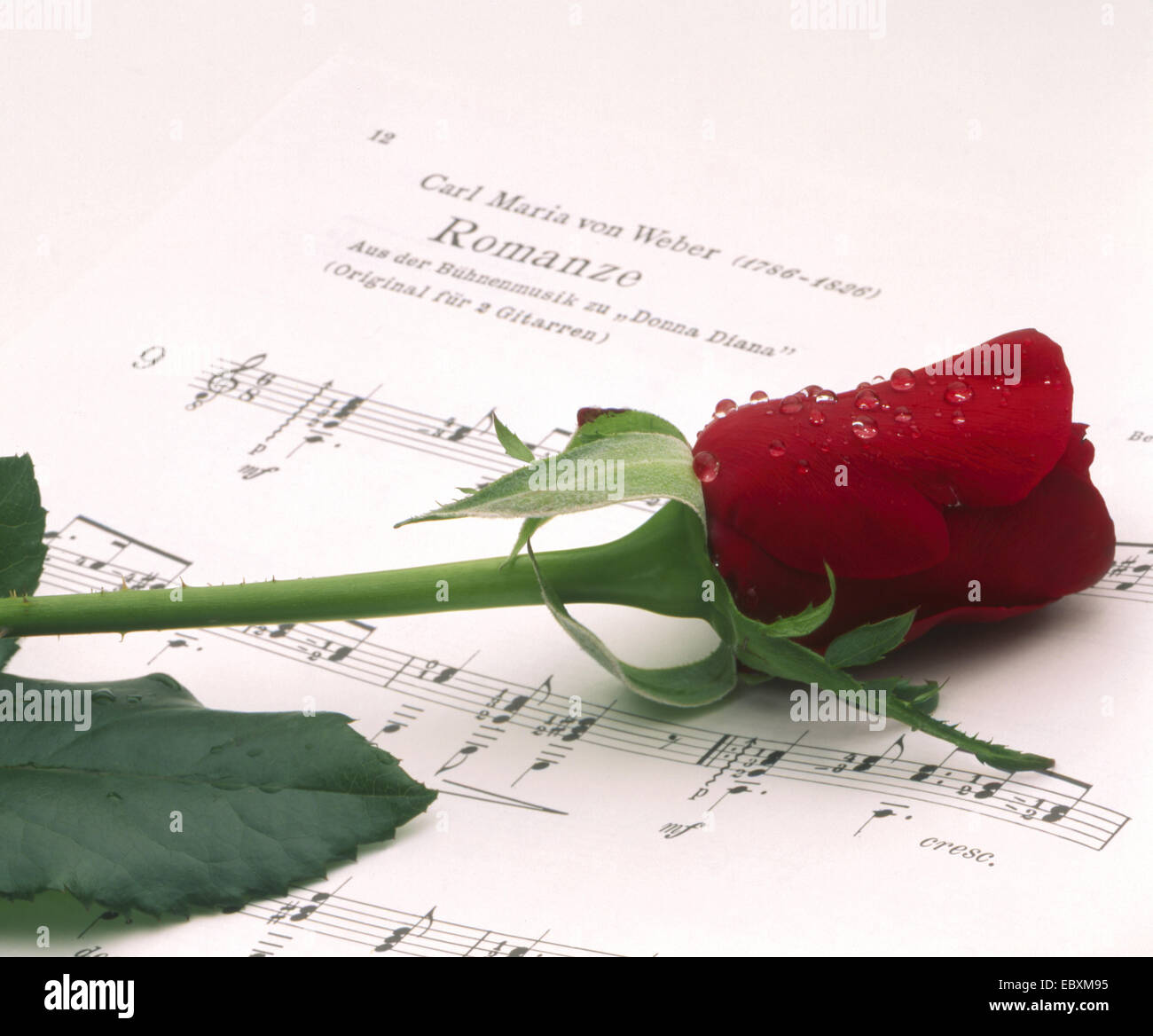 red rose on sheet of music Stock Photo - Alamy