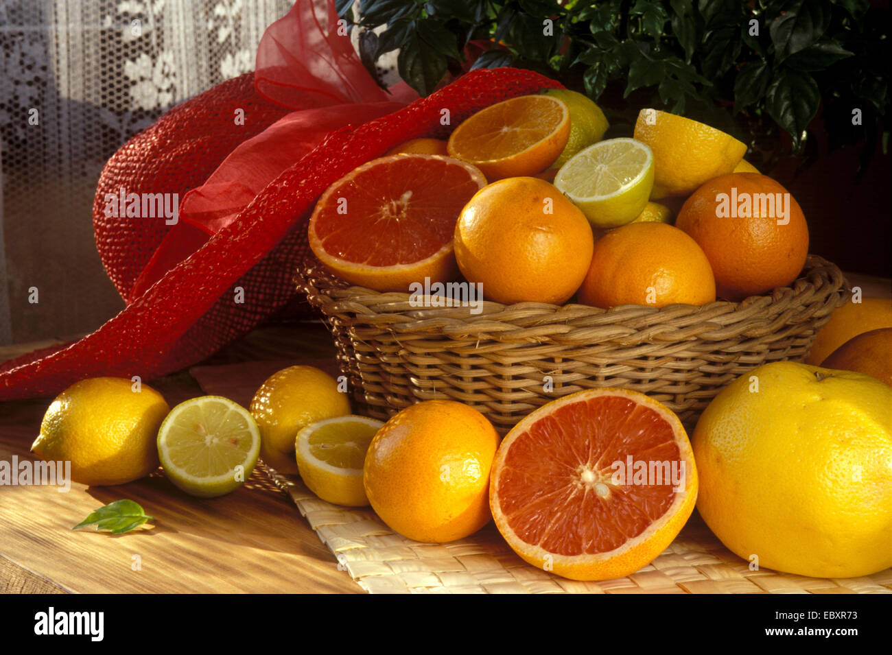 basket with citrus fruit Stock Photo - Alamy