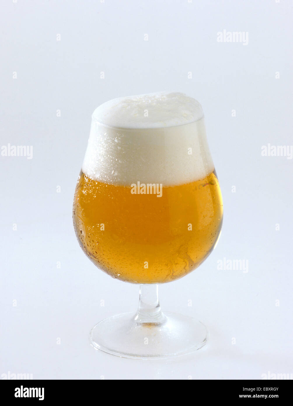 glass of beer, pils Stock Photo - Alamy