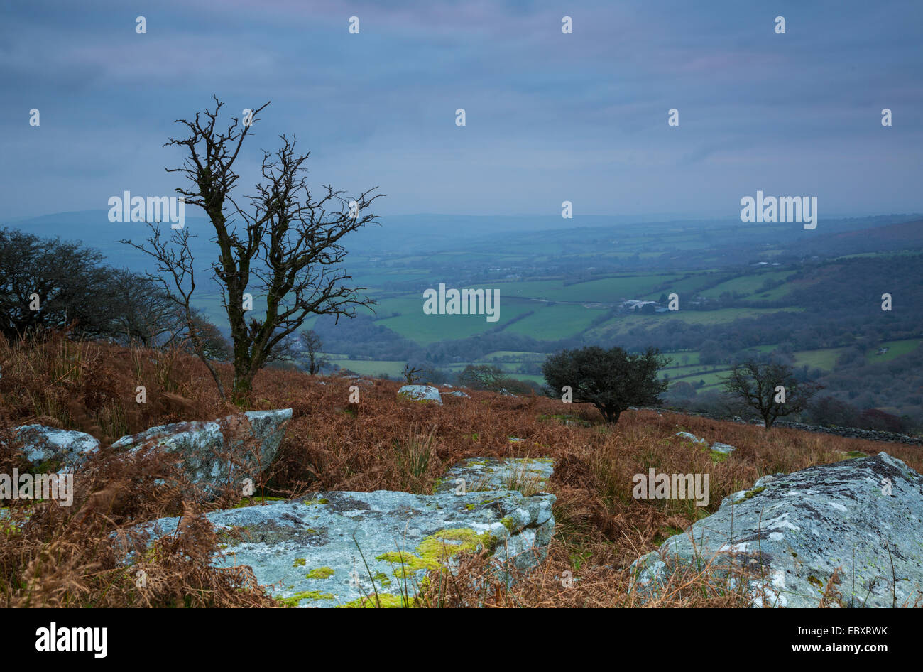 Early morning light from the top of sharptor on bodmin moor Stock Photo ...