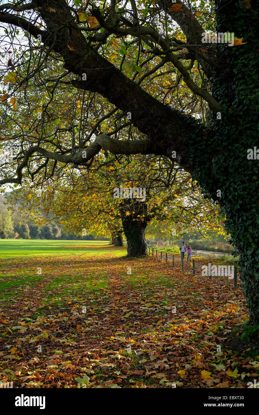 River itchen winchester walking hi-res stock photography and images - Alamy