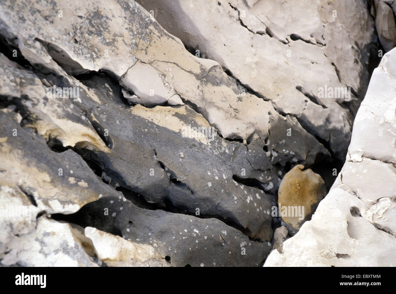 Specimen of rocks hi-res stock photography and images - Alamy