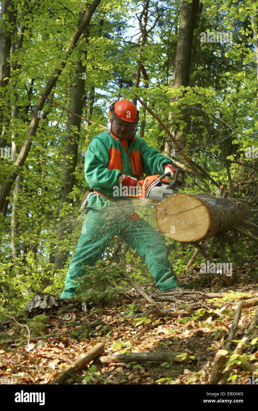 Woodsman hi-res stock photography and images - Alamy