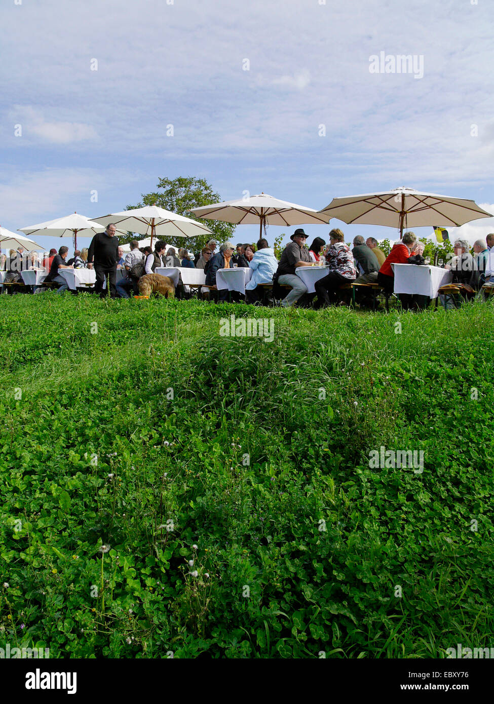 Culinary festivals hi-res stock photography and images - Alamy