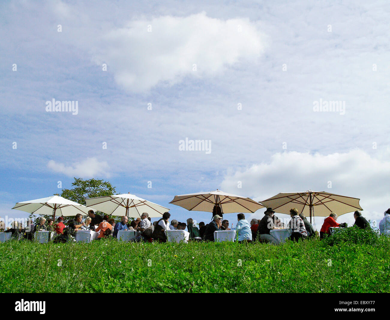 Culinary festivals hi-res stock photography and images - Alamy
