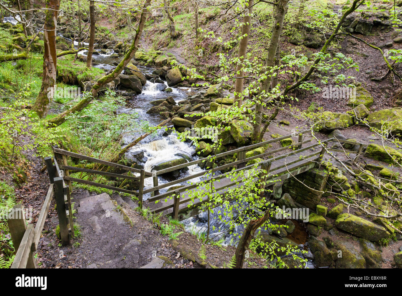 Footbridge across a small brook hi-res stock photography and images - Alamy